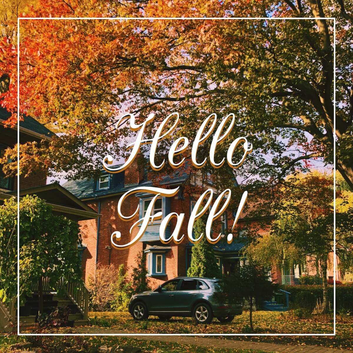 NEW Fall Seasonal Social Graphics - LUXVT